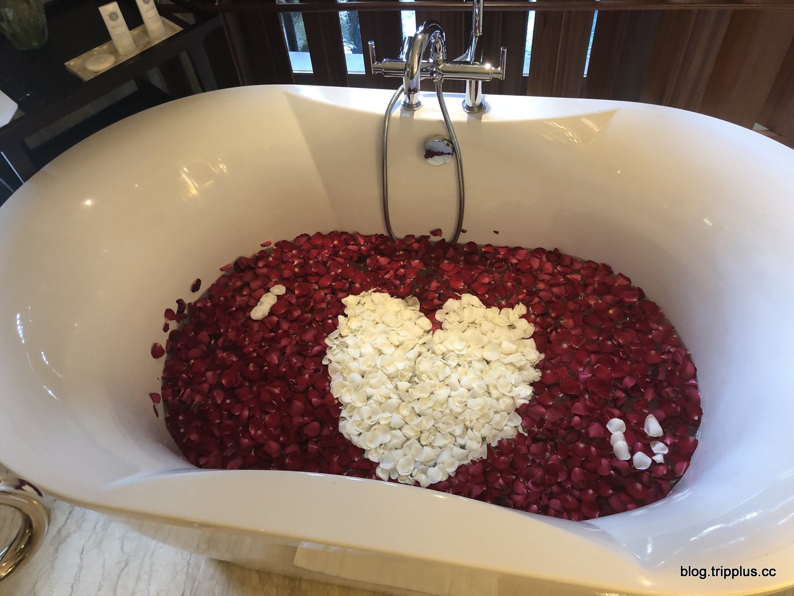 [Sharon住宿紀錄] St. Regis Bali Resort, Pool Suite 峇里島瑞吉渡假村泳池套房 | TripPlus